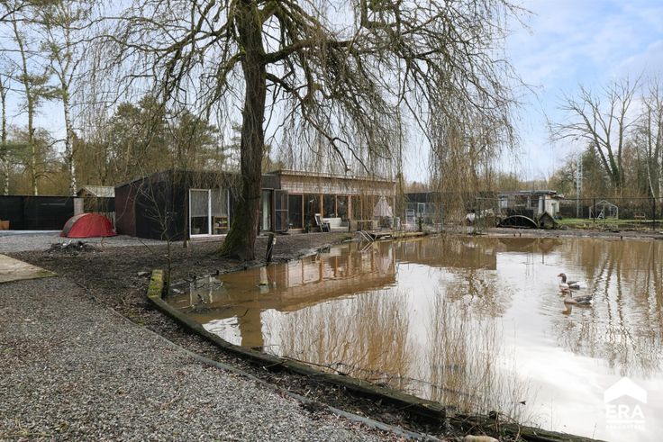 Chalet te koop - Antwerpen (Provincie) - Immoweb