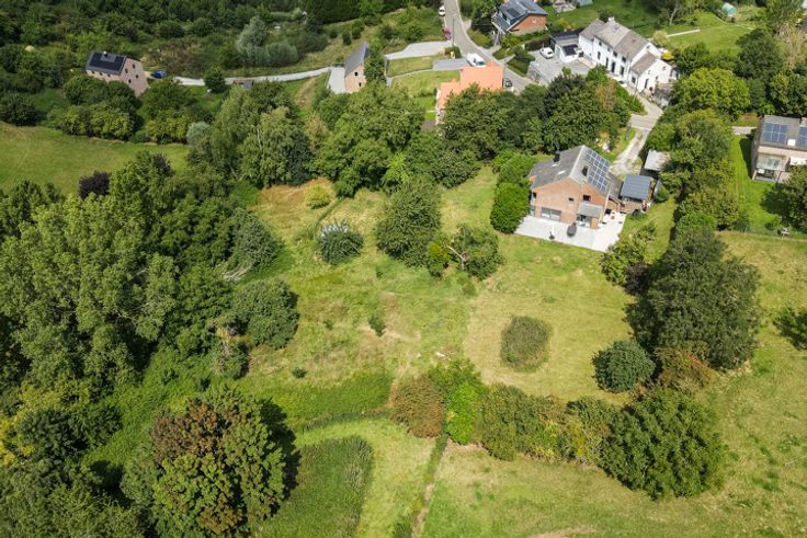 Maison à vendre à Burdinne - 425 000 € - 4 chambres - 225m² - Immoweb